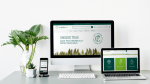 Canada's leading Website Design and Digital Marketing company; Telkoware